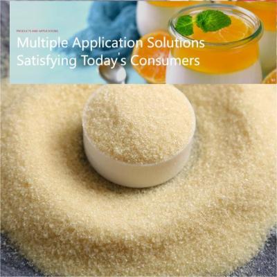 Cina Haccp Unflavoured Gelatin Powder 25kg/Bag in Food Safety Management System in vendita