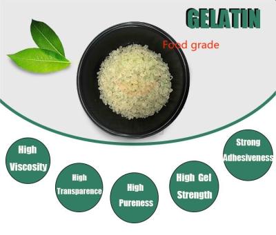China Cooking Bone Mildly Sweet Gelatin Powder For Food 2 Years Shelf Life for sale