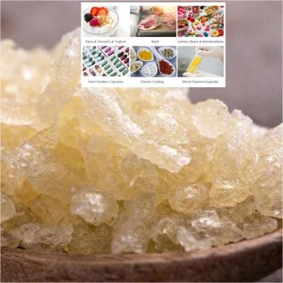 Cina 2 kg di gelatina in polvere di maiale per cucinare in vendita