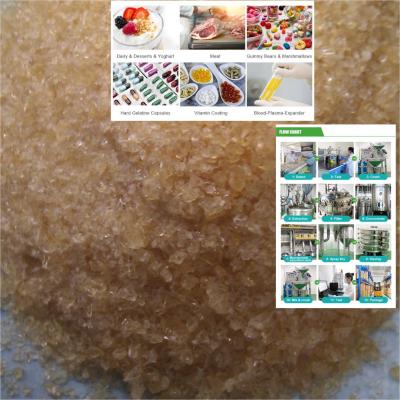 Cina Polvere di gelatina di maiale con elevato contenuto proteico bianco a basso contenuto di grassi Nessun additivo in vendita