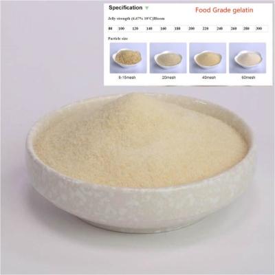 Cina Conservazione fresca e secca Gelatina di manzo Halal Textura liscia 200-300 g Bloom in vendita