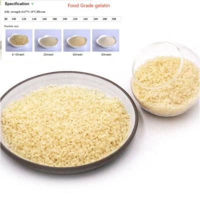 Cina Ph 5,0-7,0 Arsenico ≤ 2 ppm Polvere di gelatina industriale a basso contenuto di arsenico Non commestibile in vendita