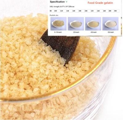 Cina 80 Gelatina industriale a maglia Bianco / giallo chiaro Salmonella negativo in vendita