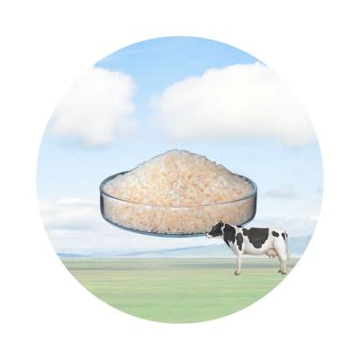 Cina Imballaggio a sfuso Polvere di gelatina ossea con indicazioni nutrizionali e 0 mg di sodio in vendita