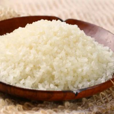 Cina Gelatina di manzo halal di qualità alimentare con 200-300 g di bloom gel e bianco in vendita