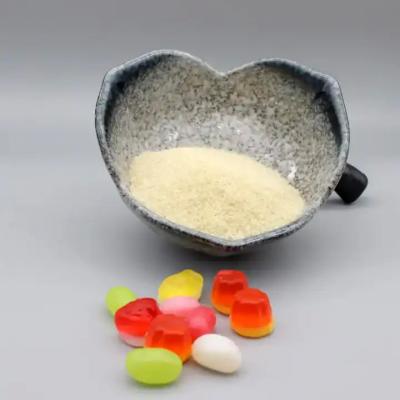 Cina Polvere di gelatina proteica ossea con tenore di proteine garantito ≥ 90% in vendita