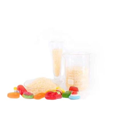China Food And Pharma Grade Bovine Beef Gelatin Halal Certificate 50 Bloom Te koop