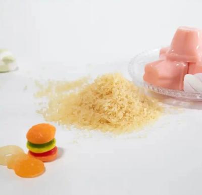 Cina Halal Food Ingredients Gelatin Powder Gelatin Food Grade Edible Skin Gelatin in vendita