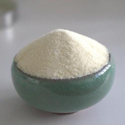 Cina New Product Food Grade Beef Skin Bovien Hide Gelatin Powder in vendita