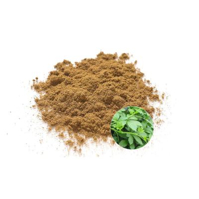 China 100% Pure Organic Elderberry Extract Powder Bone Health for sale