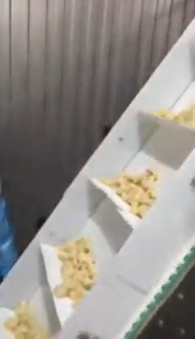 Elevator component of frozen food packing system