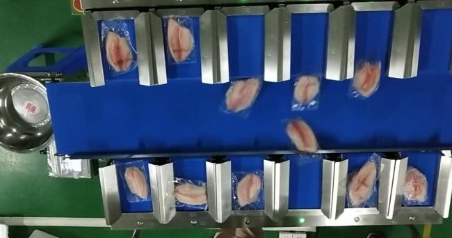 TOUPACK 12 Head Belt Weigher System in operational environment