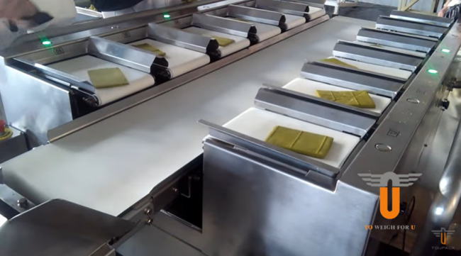 TOUPACK 12 Head Linear Weigher Packing Machine in operation