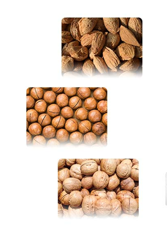 Technical diagram of multihead combination weigher