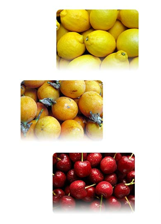 Multihead weighing machine front view