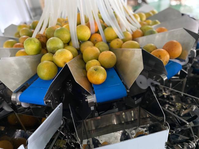 Factory production line with multiple weighing machines