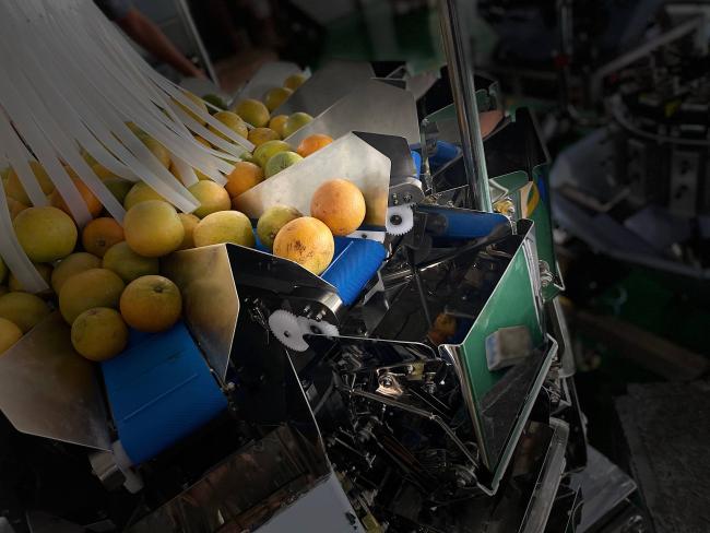 Close-up view of the weighing mechanism and PVC belt