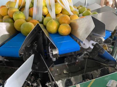 China PVC Conveying Belt Multihead Weigher Packing Machine 5000g For Sticky Fish Block for sale