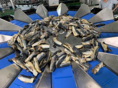 China PVC Conveying Belt Multihead Weigher Packing Machine 5000g For Sticky Fish Block for sale