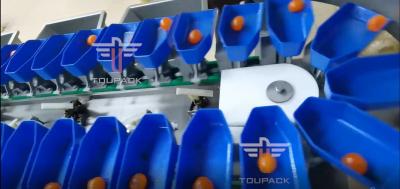 China Cirkel het Gewichtssorteermachine van de touch screen Multirang voor de Vruchten van Dooiervissen Te koop