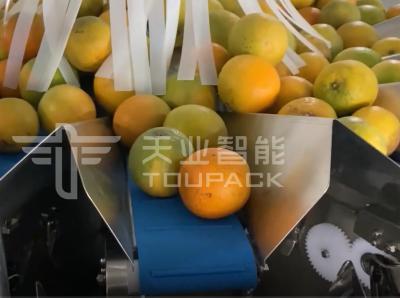 Waterproof 50P/M Fruit And Vegetable Packaging Machine With ISO 9001