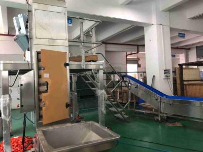 China 75L 150L 200L SS304 Independent Vibration Feeder For Z Type Bucket Conveyors for sale