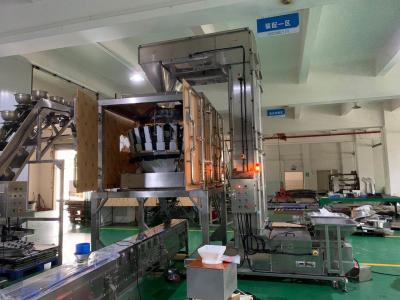 China Customized Z Type Bucket Elevator Working With Multihead Weigher Packing System for sale