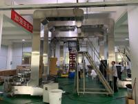 China Customized Z Type Bucket Elevator Working With Multihead Weigher Packing System for sale