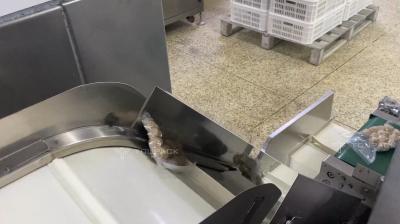 中国 冷凍食品のSamosaのミートボールのSiomaiのゆで団子のパッキング機械40BPM 2.0kW/単位 販売のため