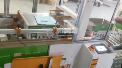China Automatic Fresh Chicken Claw 14 Head Weigher Boneless Chicken Feet Weighing Cartoning Machine for sale