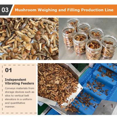 China Automatic Multihead Weigher Packing Machine with 5-50 Bag/min Speed for Zipper Bag Packaging and Remote Monitoring for sale