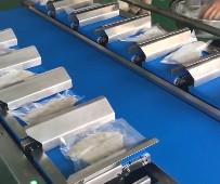 China Van de de Riemschaal van TOUPACK 30Times/min het Wegende Systeem, Transportband Wegend Systeem Te koop