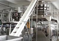 China TOUPACK 20m/Min Chain Type Bucket Elevator Temperature Resistant for sale