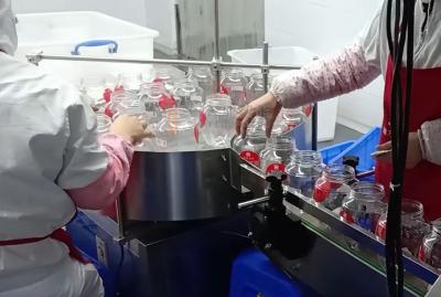 China Pas Gemaakt tot 500 Blikken/H Automatische Noten Vullend Systeem aan for sale