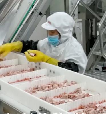 Chine 20 sacs/Min Multihead Weigher Packing Machine pour le produit glacial d'os de viande à vendre