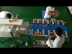 PLC Multihead van de de Machinesnelheid van de Wegersverpakking de Riemschaal voor Verse Sinaasappel