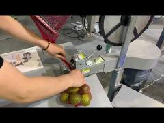 MCU-de Machine van de de Wegersverpakking van Controlemultihead voor Uiknoflook Ginger Intelligent Net