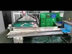 Correia X Ray Metal Detector de ISO9001 600mm, X Ray Inspection Machine