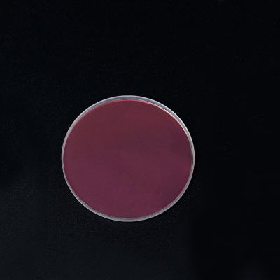 Cina lente ottica importata 24.9*2mm 1064nmAR del laser del quarzo JGS1 in vendita