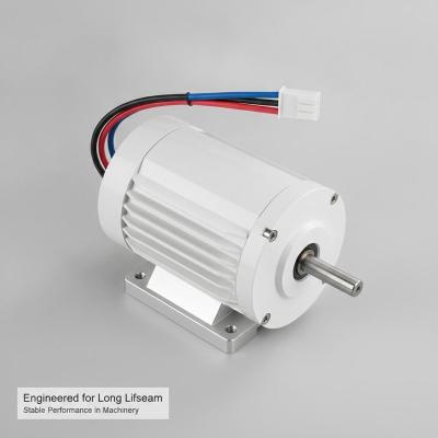 China White 3 Phases Brushless DC Motor 1kg Engineered for Long Lifespan and Stable Performance in Machinery for sale
