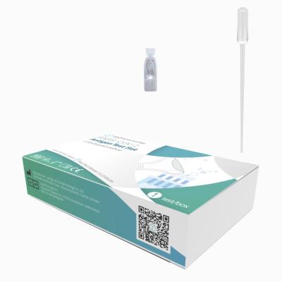 China 1 Test-/Kasten-Selbsttest-schneller Antigen-Test-Speichel-Plastikhaus zu verkaufen
