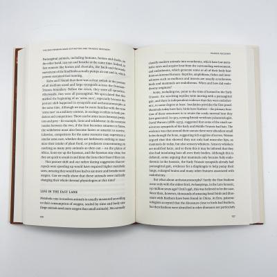 Cina Stampa cartacea in rivestimento rigido Stampa cartacea OEM / ODM Stampa Offset in vendita