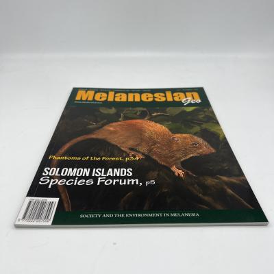 China A4 catalogus afdrukken op maat met extra bindgaten Te koop