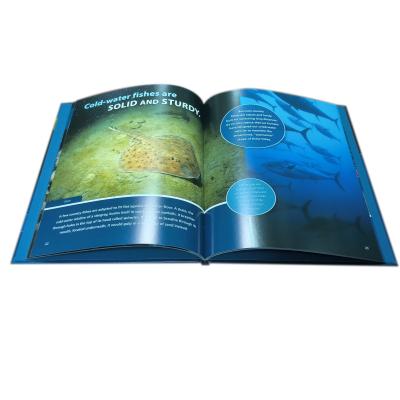 Cina Città Pesce Paese Pesce Bambini Libri Stampa Smyth cucito con inchiostro ecologico e carta FSC in vendita