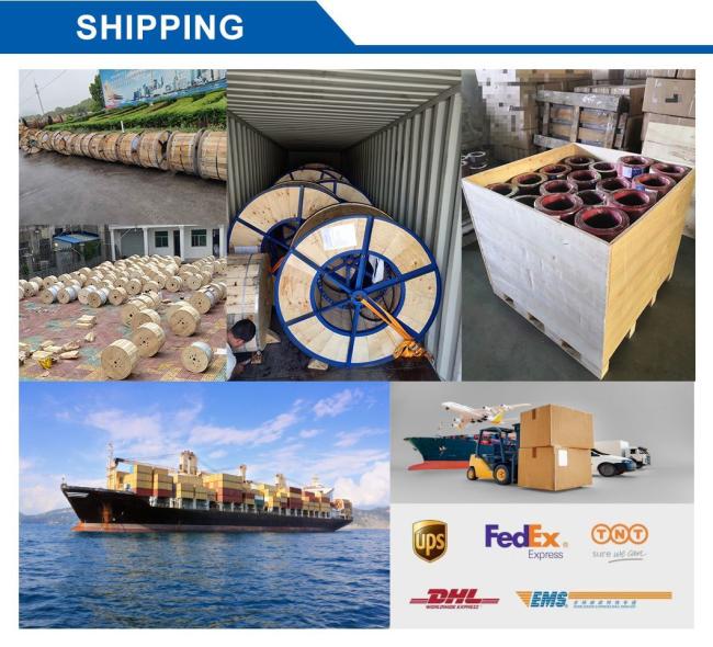 Proven XLPE Insulated Power Cable for Reliable Power Distribution