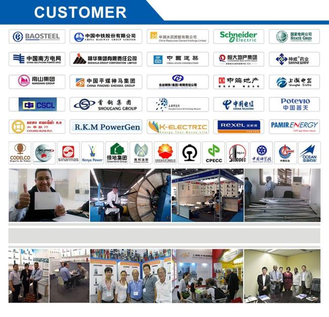 Dependable Cu/PVC/PVC Cables for Stable Power Distribution