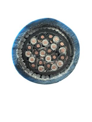 China                    Low Voltage High Performance Pair and Triple Cores XLPE Insulated Power Cable for Extreme Conditions Armored Instrumentation Cable Ia Cable              for sale