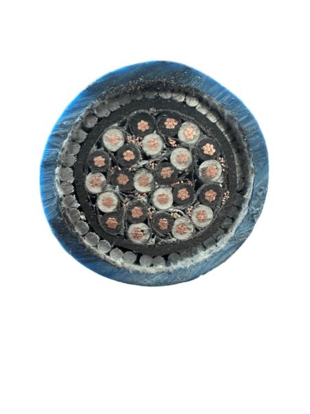 Quality                    Low Voltage High Performance Pair and Triple Cores XLPE Insulated Power Cable for Extreme Conditions Armored Instrumentation Cable Ia Cable              for sale
