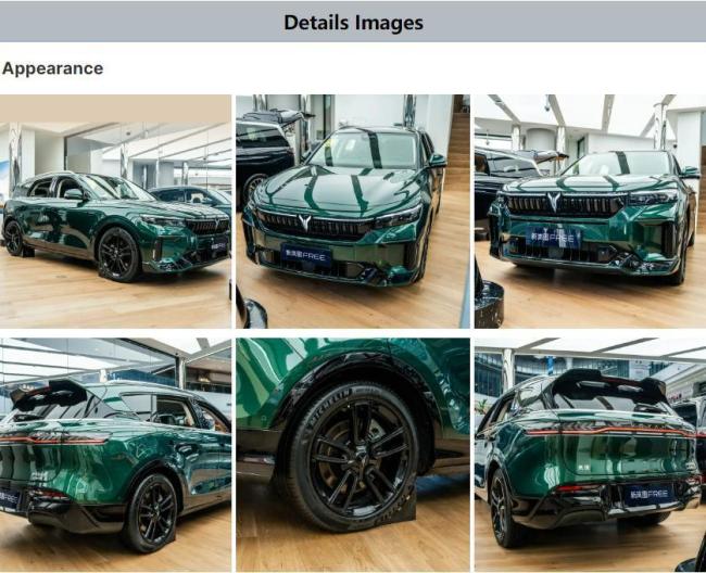 2024 Fashion Design New Design Energy Cars Voyah Free Pure Electric Car 510 Kw Midsize SUV Car