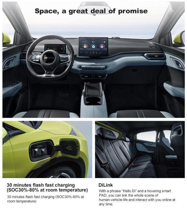 Byd Seagull 2023 2024 Flying Edition 405km Long Range New Energy Car EV Byd Seagull